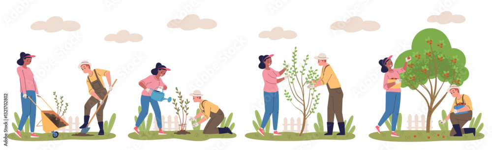 People planting tree stages. Man woman plants care growth fruit trees ...
