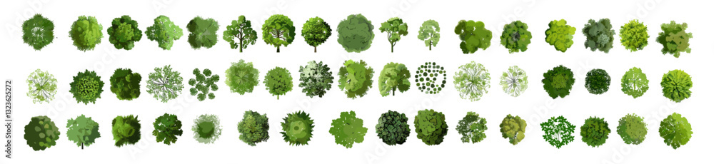 Tree top view vector isolated on white background for landscape ...