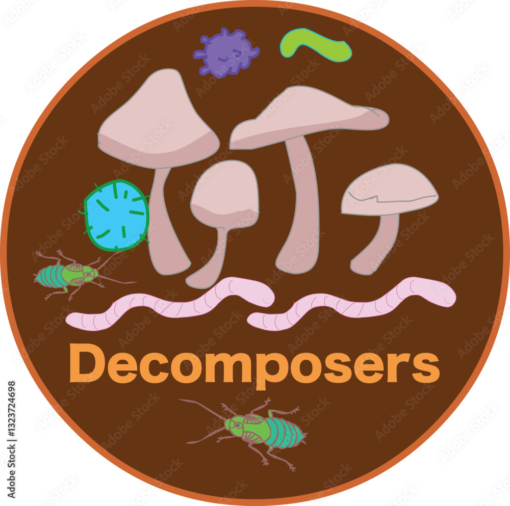 Decomposers, include, microorganisms, fungus, bacterias, insects ...