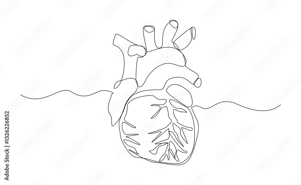 Continuous single line of human heart organ anatomy cardiology medical ...
