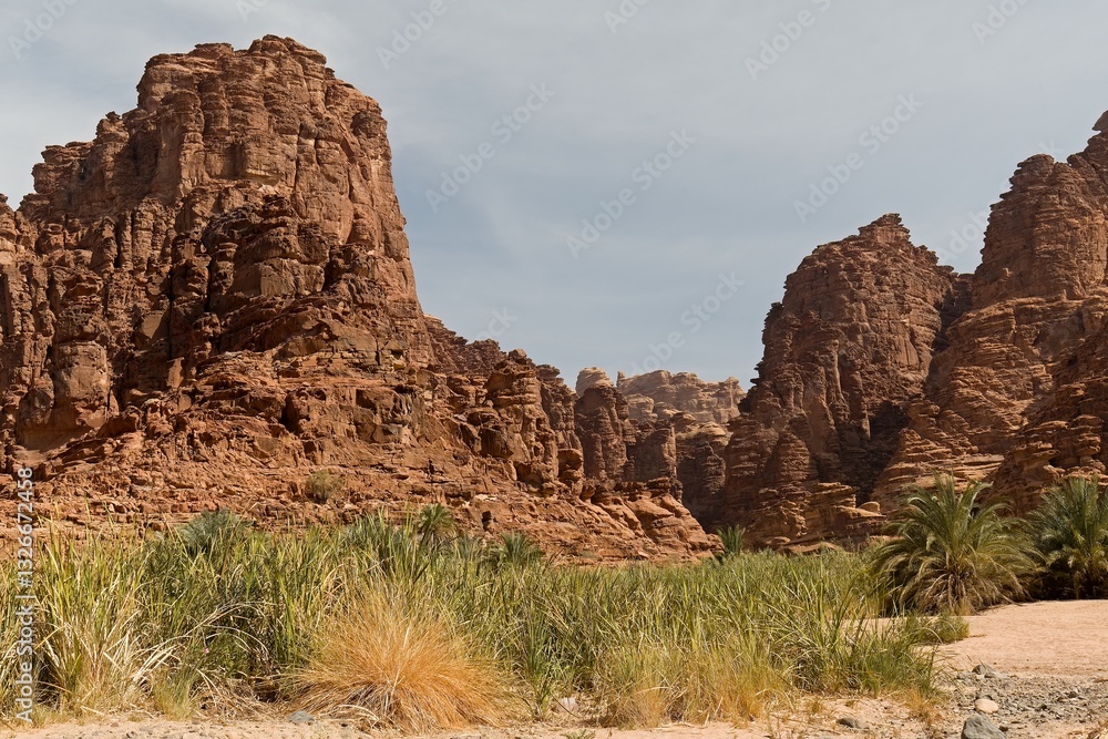 Wadi Al Disah is located in Prince Mohammed bin Salman Natural Reserve ...
