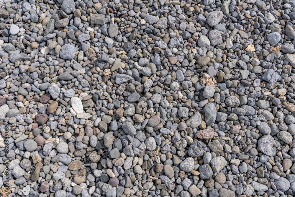 Foto de Stock Lake sediments, Gray to brownish gray sandy gravel and ...