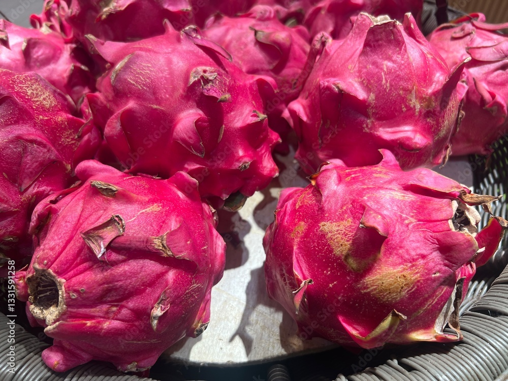 Dragon fruit, scientifically known as Hylocereus sp., is a type of ...