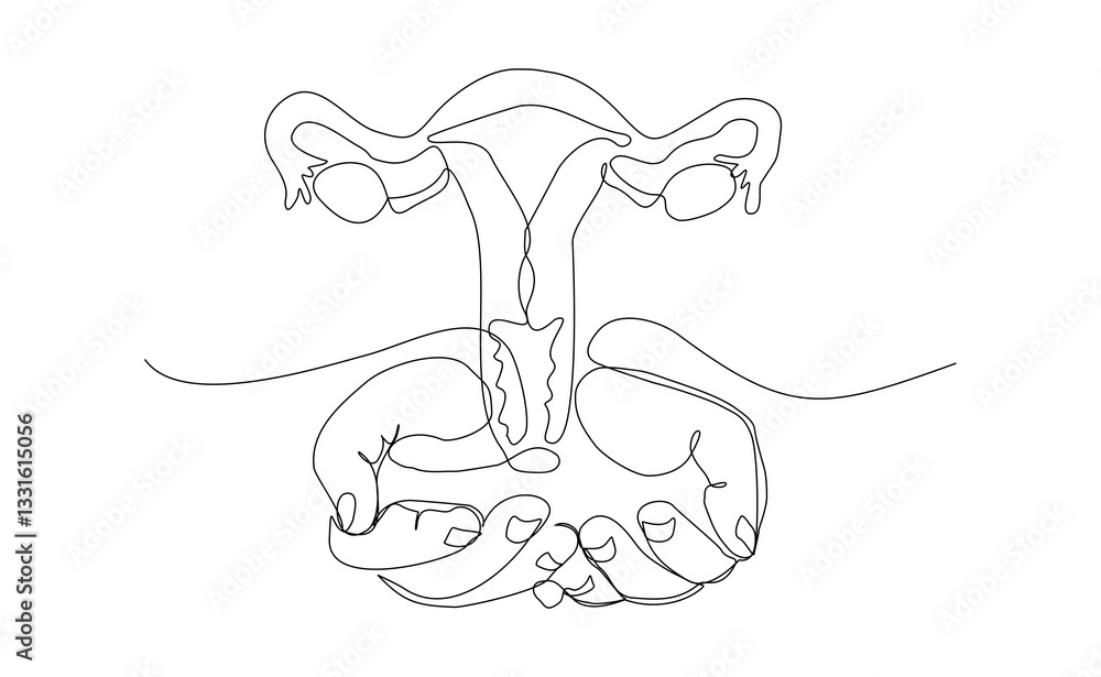 Continuous single line of hand holding uterus ovary cervix anatomy ...