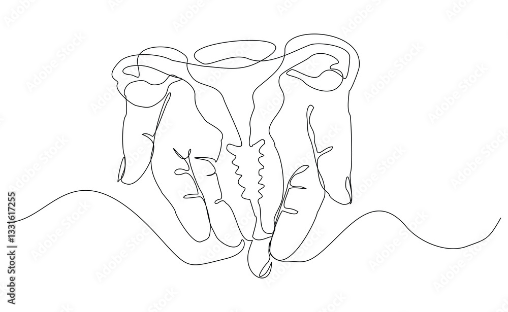 Continuous single line of hand holding uterus ovary cervix anatomy ...