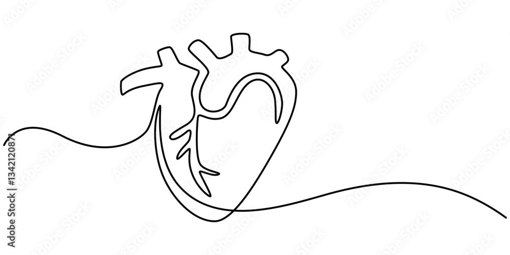 Single continuous line art anatomical human heart silhouette. Healthy ...