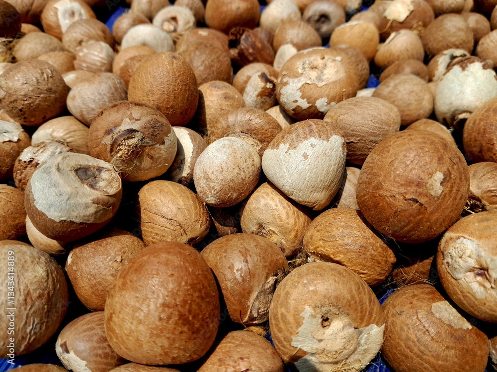 Areca nut, also known as betel nut, is the fruit of the areca palm, a ...