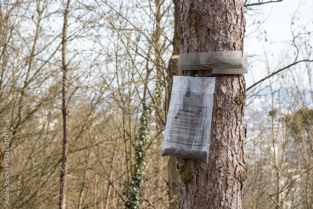 Ecological trap for processionary caterpillars on pine in France ...