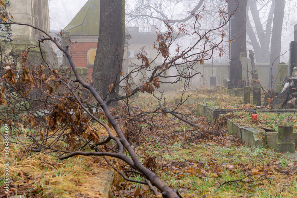 branches and a tree fallen on a grave. Greek Orthodox cemetery ...