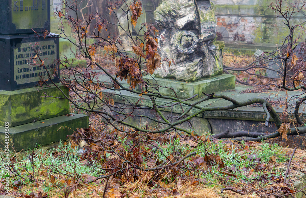 branches and a tree fallen on a grave. Greek Orthodox cemetery ...