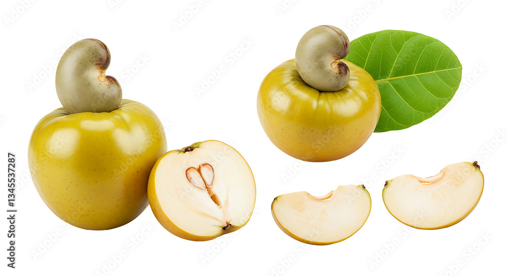 A sequence of fresh Cashew displayed in four variations a whole Cashew ...