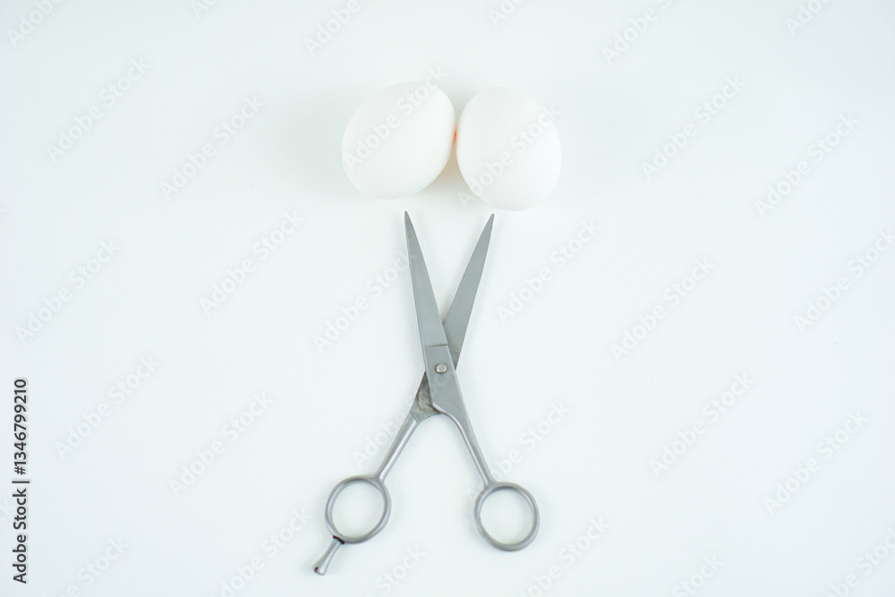 Scissors and testicles on white background, castration concept ...