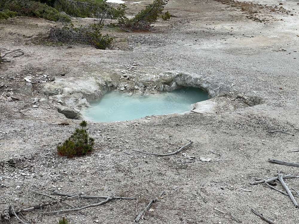 Foto stock di Yellowstone National Park preserves the most ...