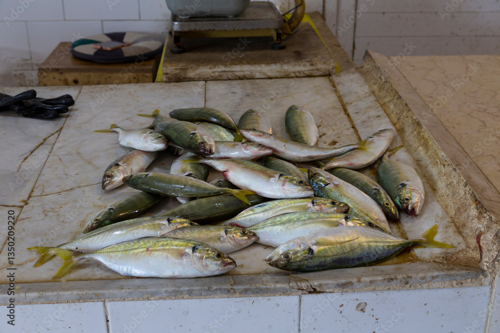 Freshly caught fish displayed on a marble counter at Genaveh Port ...