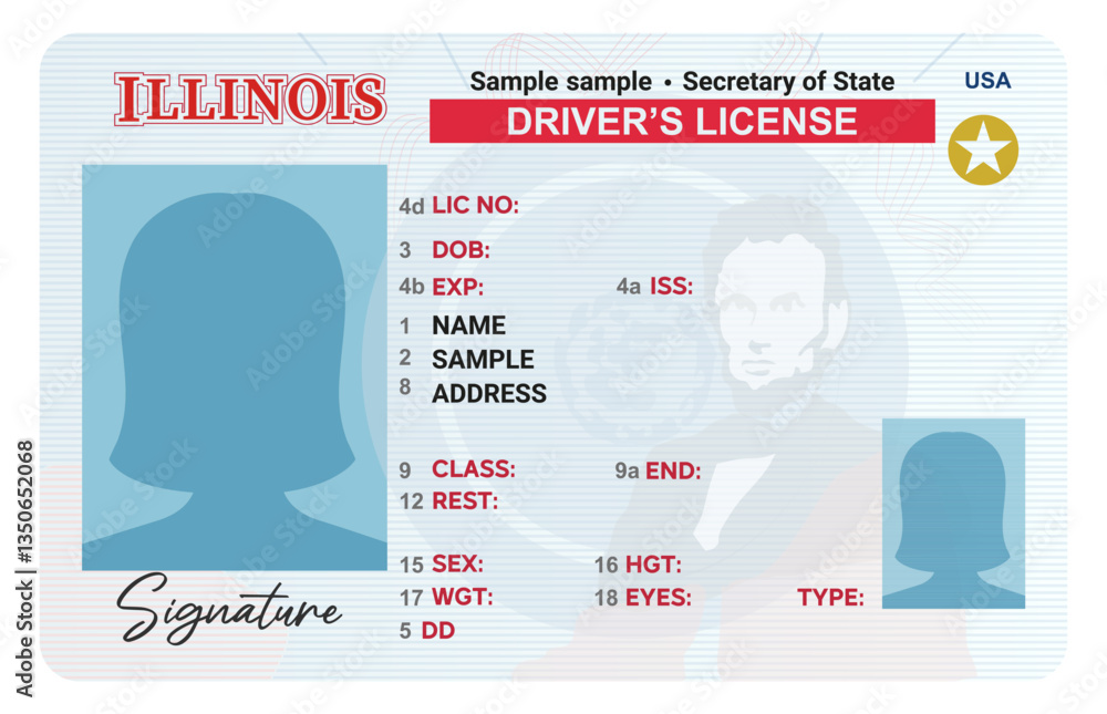 Illinois driver's license with female silhouette isolated on white ...