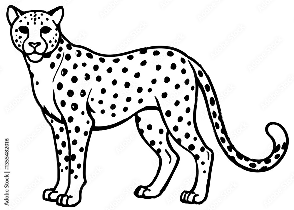 Cheetah Illustration: A detailed line drawing showcases the elegance ...