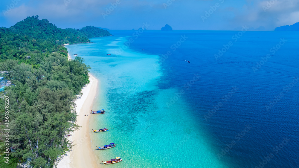 Aerail view of green forest and the sea. natural ecosystems of forests ...