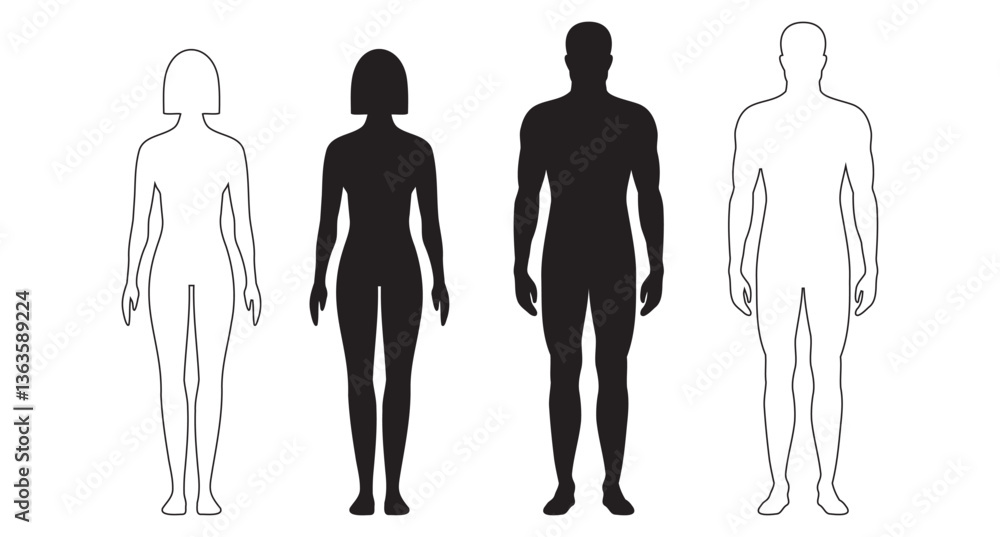 human body man and woman silhouette, male and female figure. vector ...