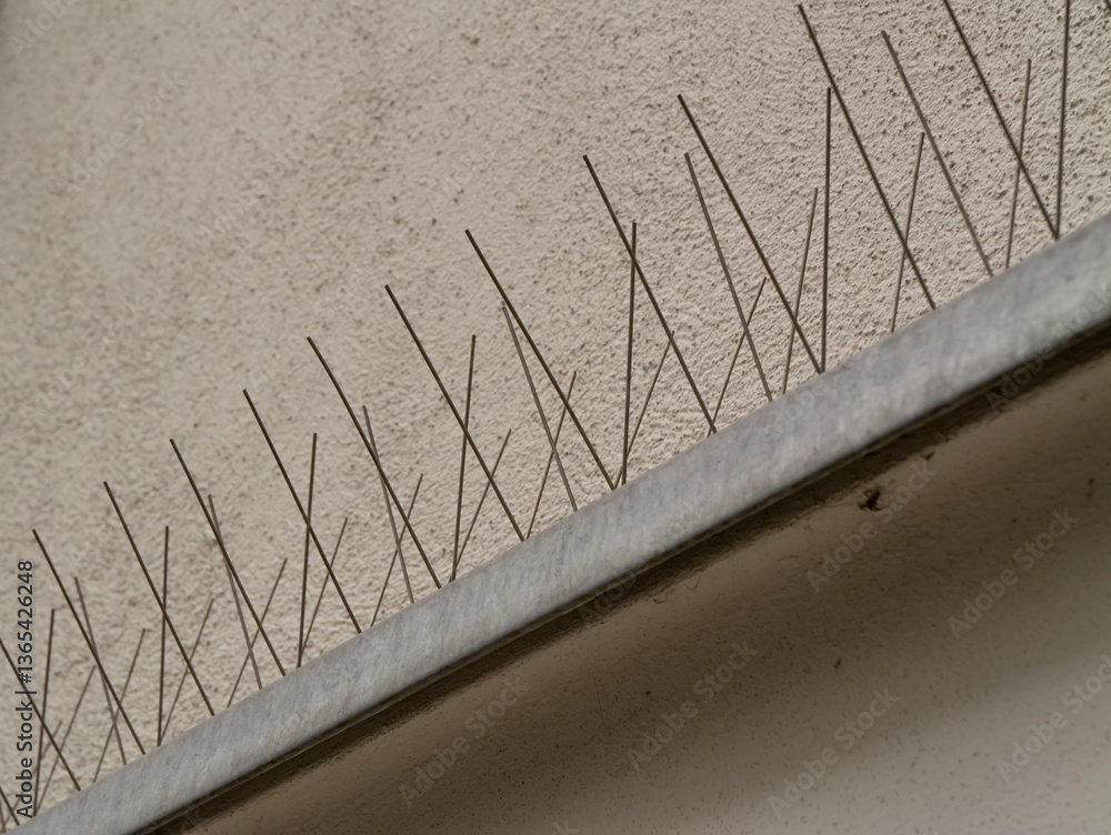 Anti-bird spikes installed on a building ledge to prevent birds from ...