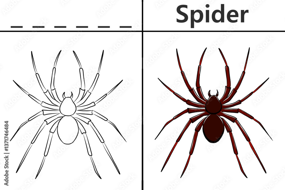 Spider coloring pages for kids and learn to recognize letters, animal ...