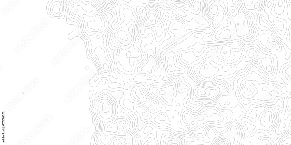 Abstract curve grid map and topo contour map on white background ...