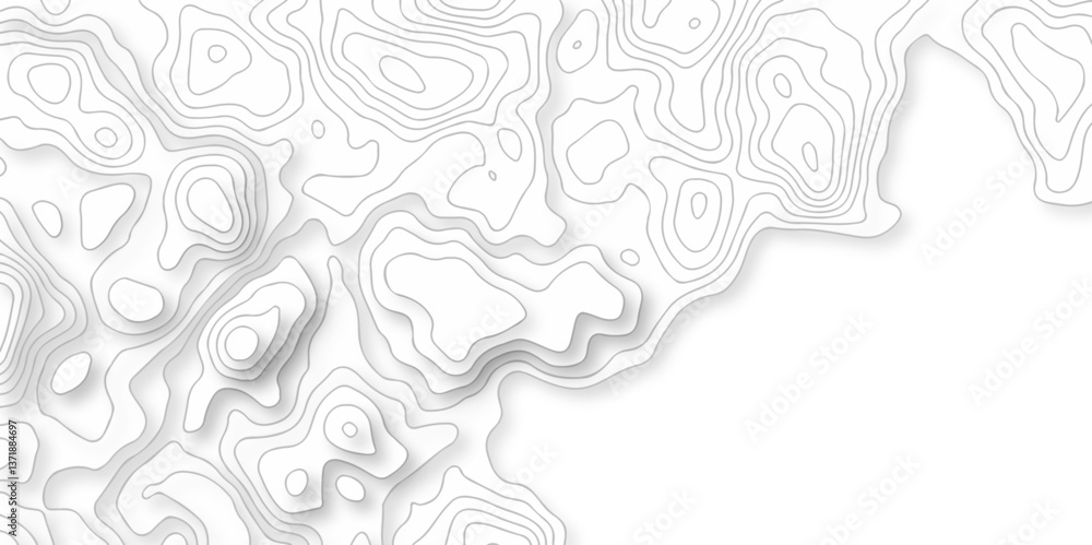 Abstract curve grid map and topo contour map on white background ...