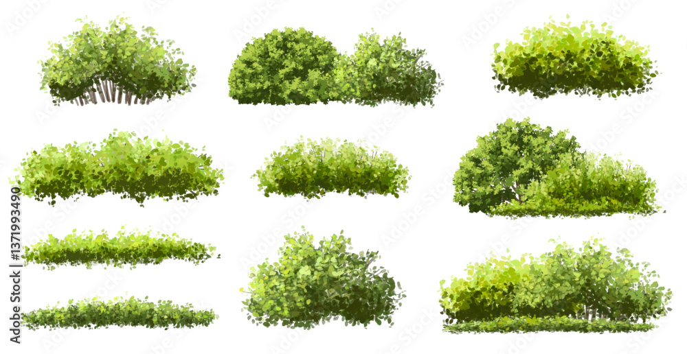 Vector watercolor green tree or forest side view isolated on white ...