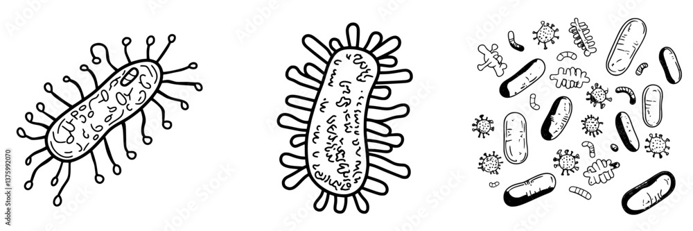 Bacteria illustrations showing diverse shapes, sizes, and ...