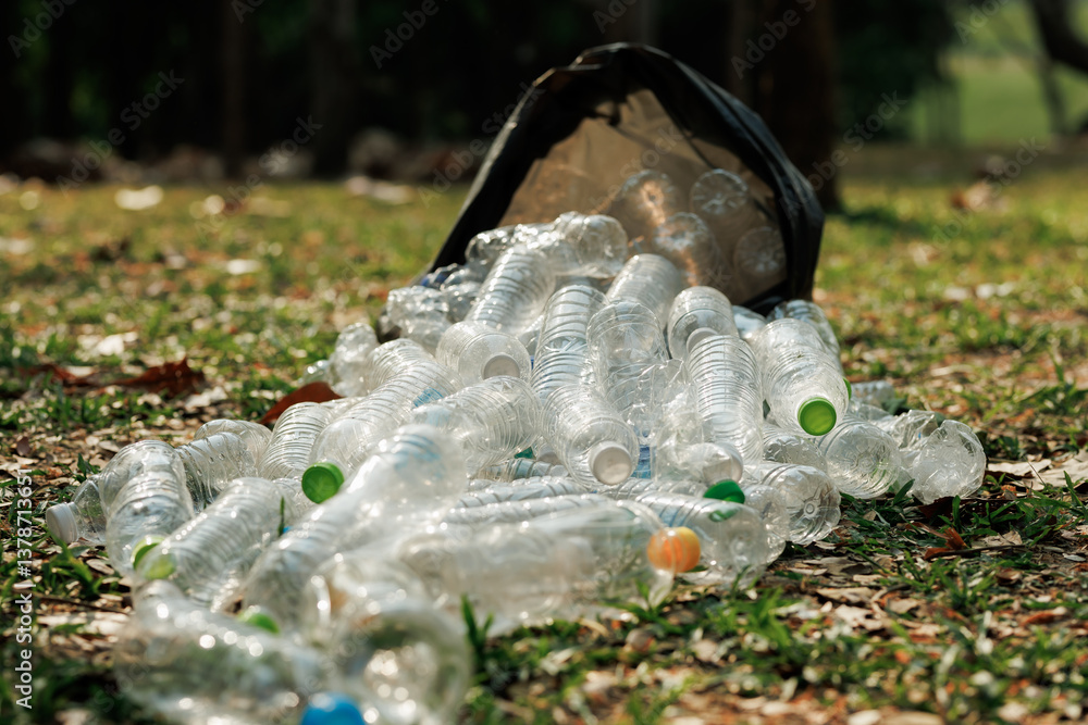 Collecting plastic bottle waste for recycling to help reduce pollution ...