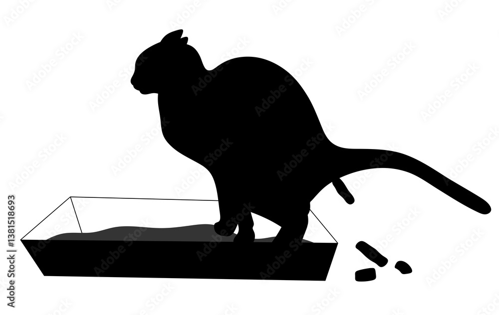Cat shits past the toilet. A toilet for a pet. Silhouette of a cat ...