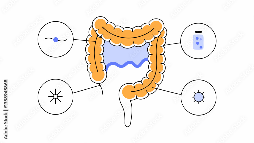 diagnosis and treatment of diseases of the digestive system in the body ...