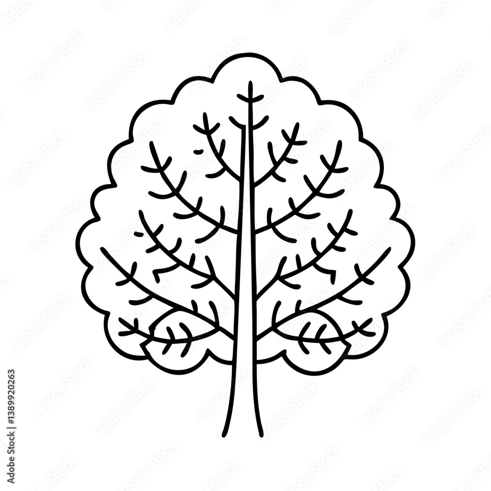 linden tree icon, linden tree line art - simple line art of linden tree ...