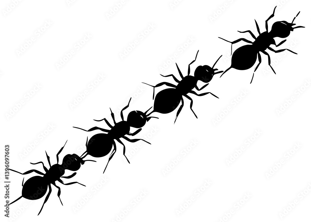 Marching Ants: A striking monochrome depiction of ants in a straight ...
