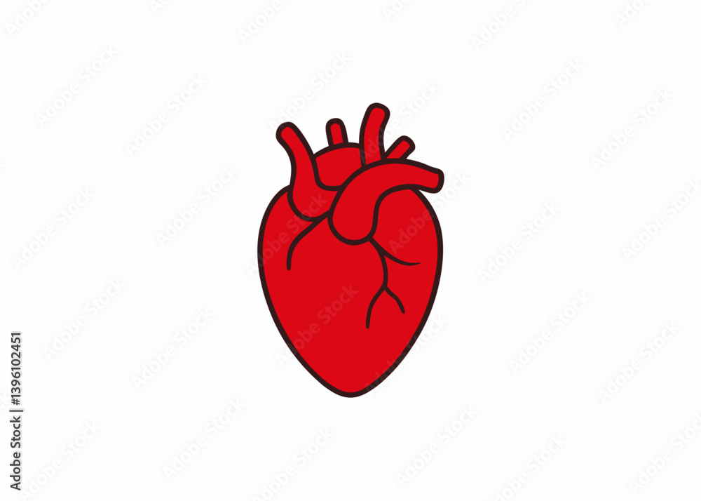 Anatomical Heart Illustration: A vividly detailed illustration of the ...
