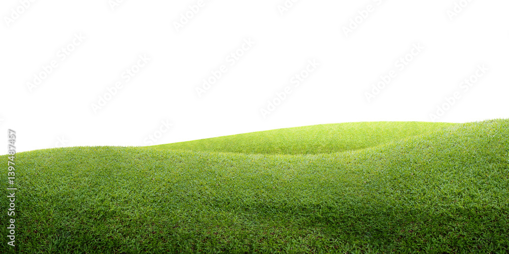 green grass field/Green grassy hills stretch gently under a clean white ...