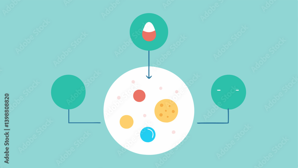 Ingredient Breakdown A vector diagram showing the components of the ...