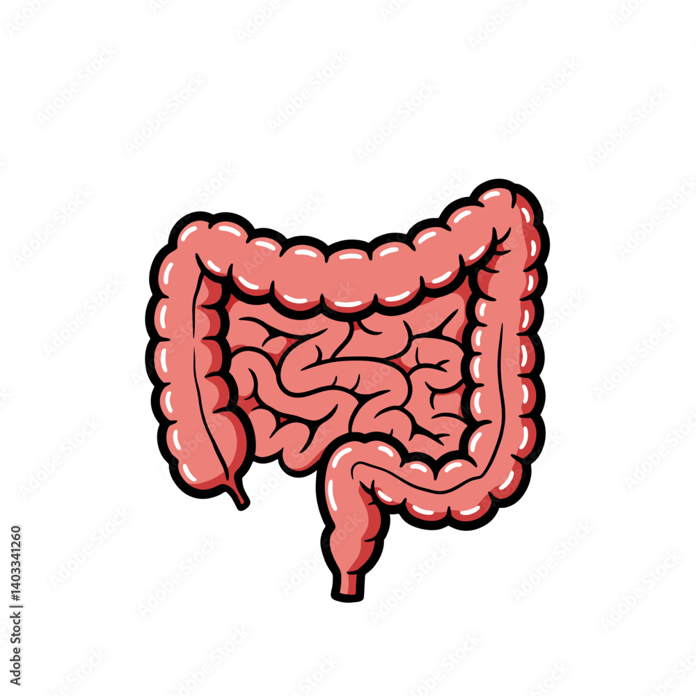 Cartoon illustration of human intestines, concept for medical ...
