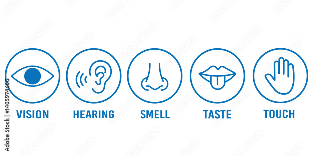 Human senses icon set. Vision eye, smell nose, hearing ear, touch hand ...
