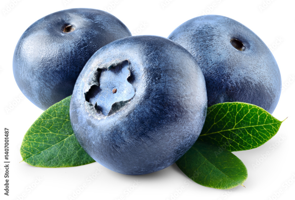 Blueberry isolated png. Blueberry with leaves on white or transparent ...