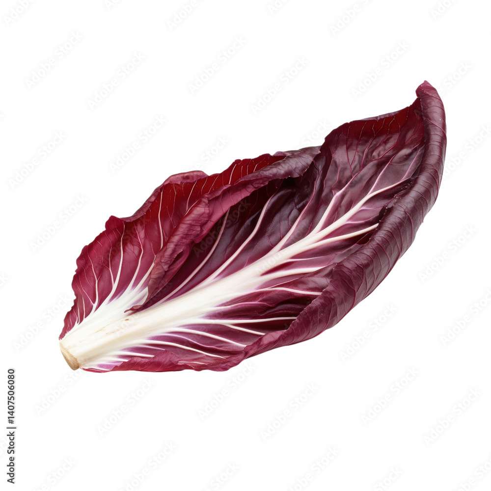 Whole fresh radicchio cabbage with deep purple leaves and white veins ...