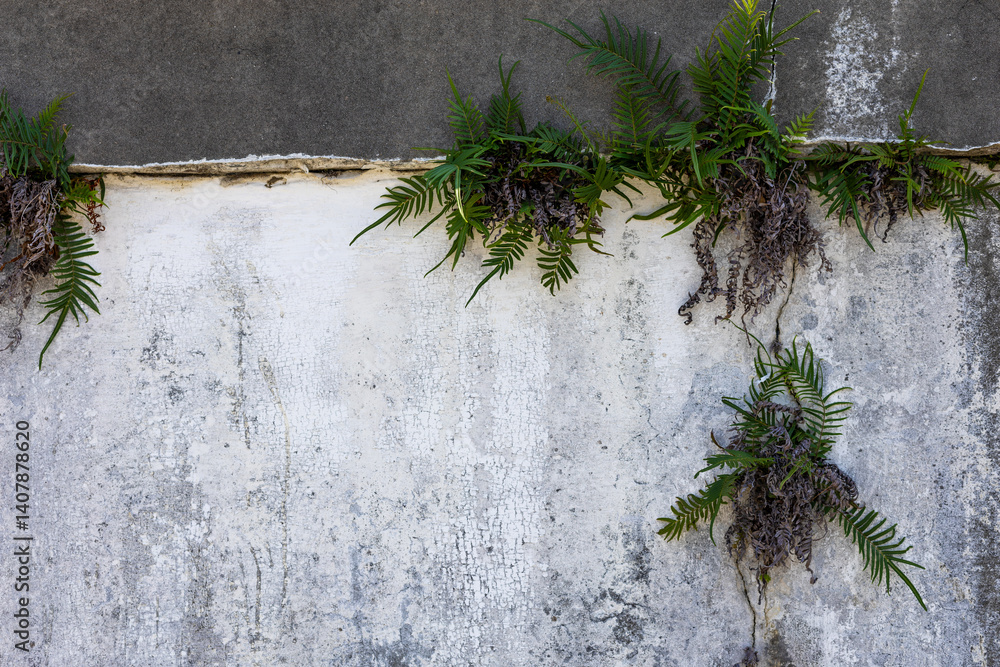 Cracked Paint Texture on a Tombstone with exposed concrete and brick at ...