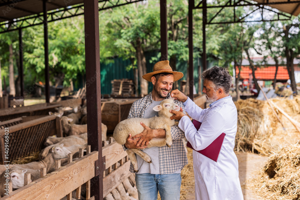 Veterinarian examining lamb held by farmer in sheepfold Stock Photo ...