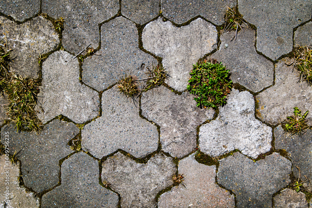 Weathered Concrete Pavers with Grass and Weeds. Close-up of aged ...