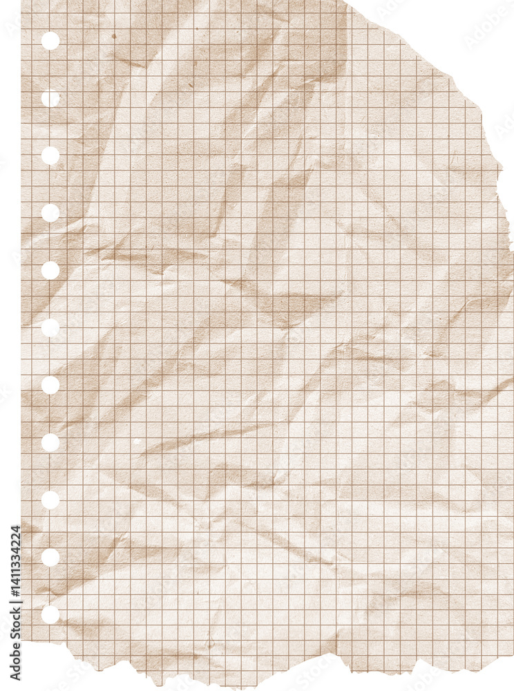 Crumpled torn ripped notepaper sheet with grid pattern texture isolated ...