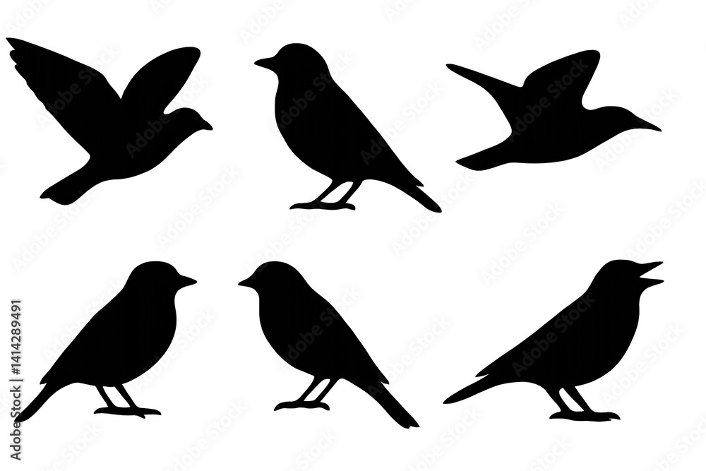 Silhouettes of various birds in different poses and flight positions ...