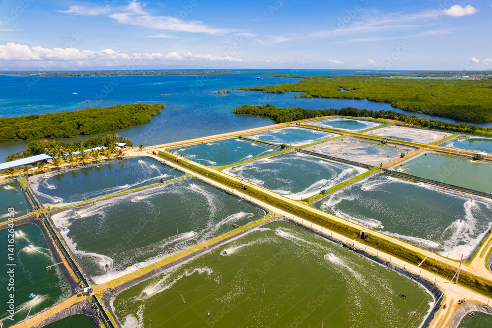 Drone image of a commercial aquafarm near mangroves and coastal waters ...