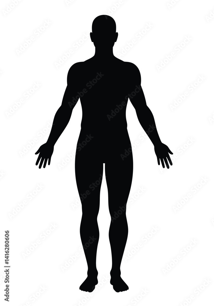 Human body silhouette. This image shows a representation of the human ...