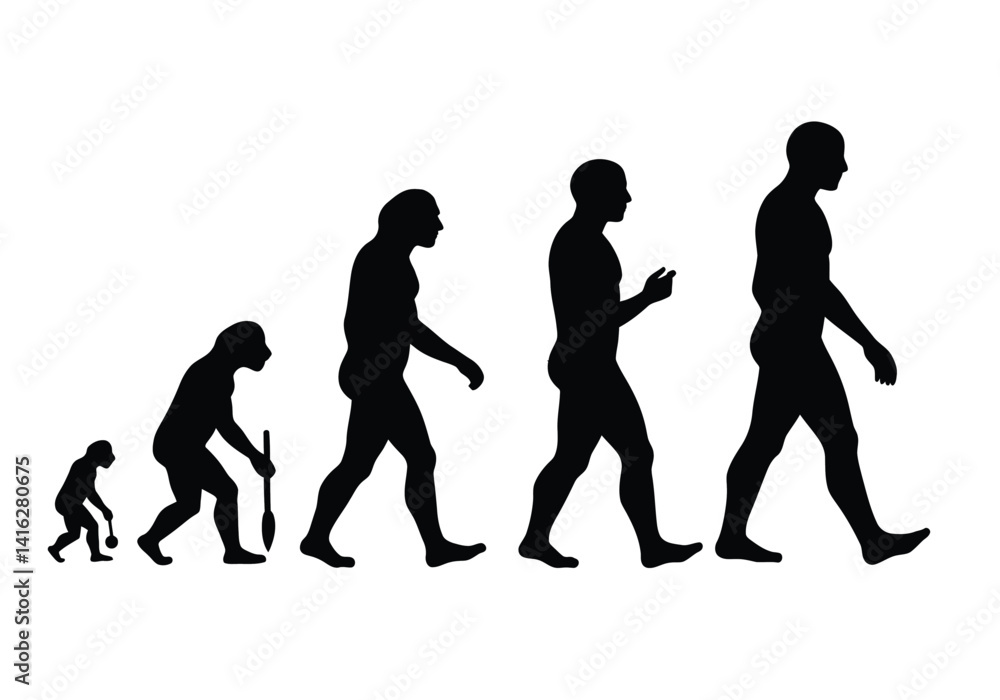 Human evolution silhouette. This image shows the progression of human ...