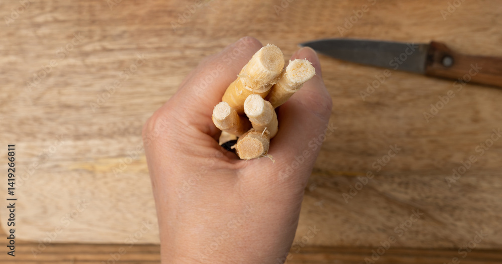 Miswak also known as Miswaak, Siwak, Sewak. Natural Wooden Toothbrush ...