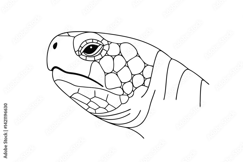 Turtle head line art simple vector illustration sea life outline design ...